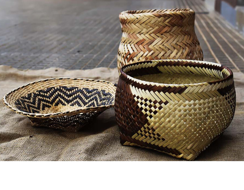 Marangatu – Fundación Marangatu